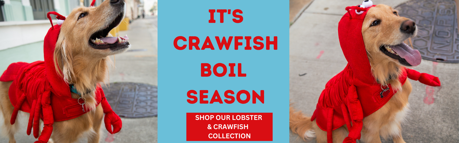 Pet Krewe | Dog Costumes and Pet Costumes for Halloween