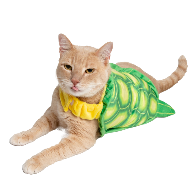 Turtle Cat Costume – Pet Krewe