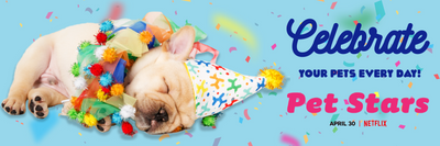 Lion Mane Costume for Cats and Kittens. – Pet Krewe