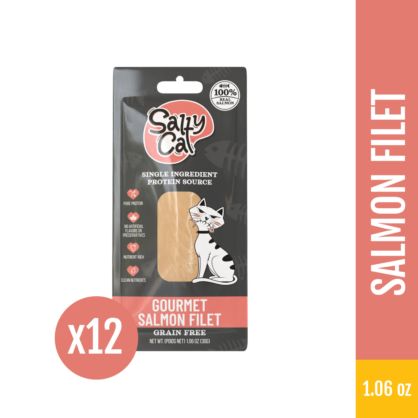 Salty Cat Gourmet Natural Salmon Filet Treats for Cats, 30g x 12 Pouch ...