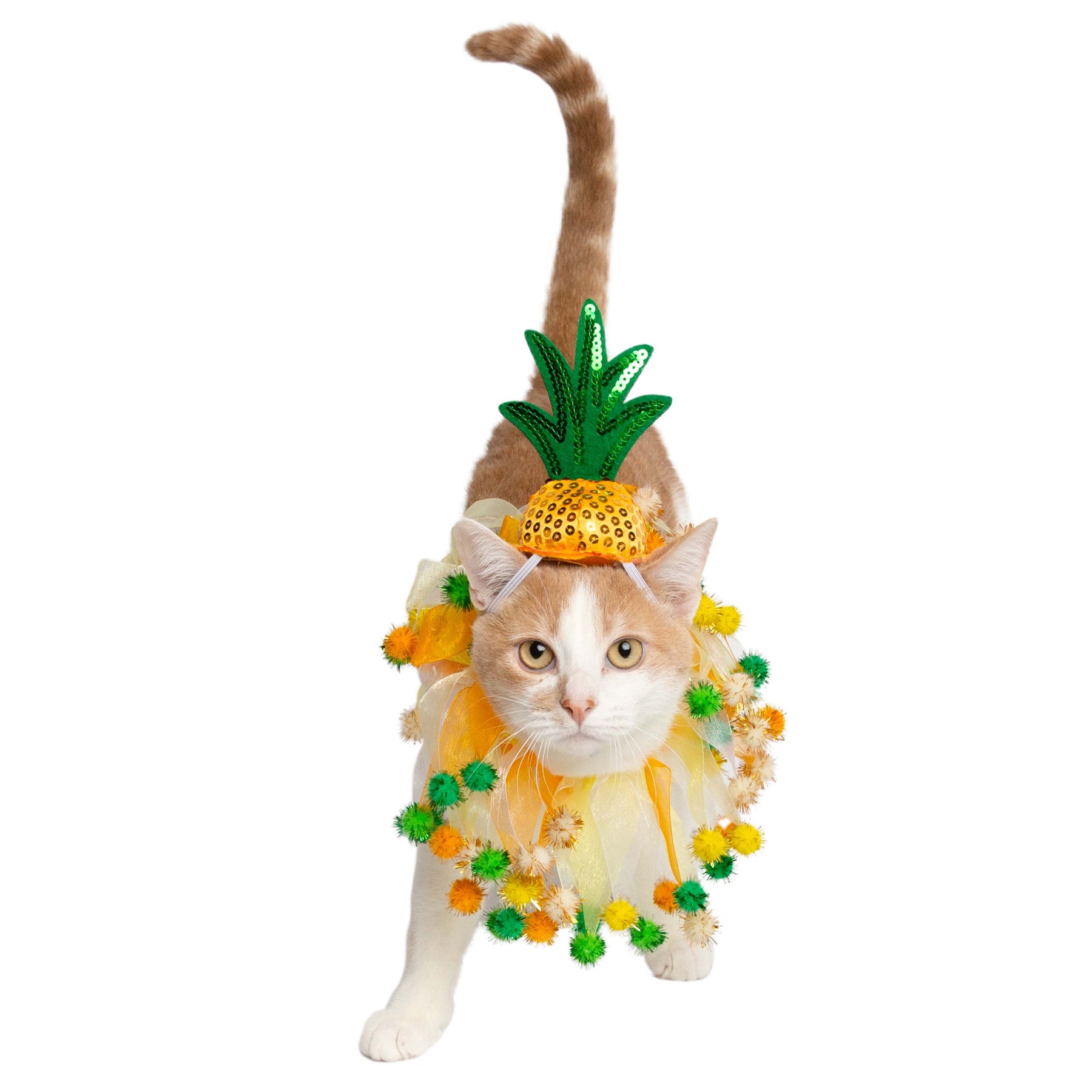 Pineapple Hat and Collar Cat Costume – Pet Krewe