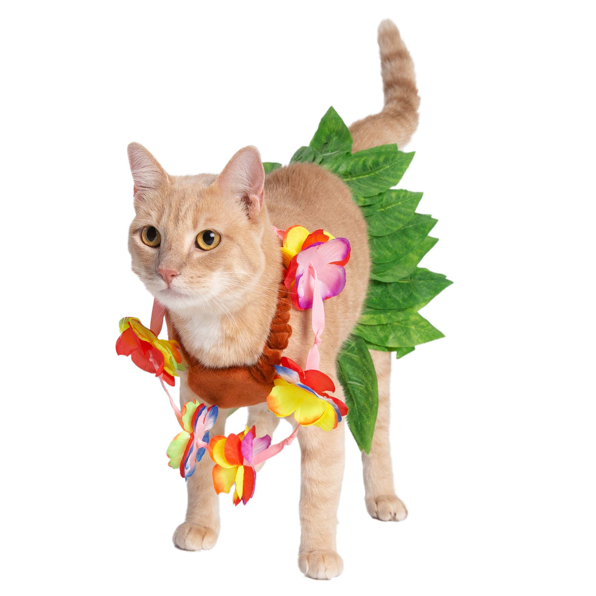 Hula Girl Costume for Cats – Pet Krewe