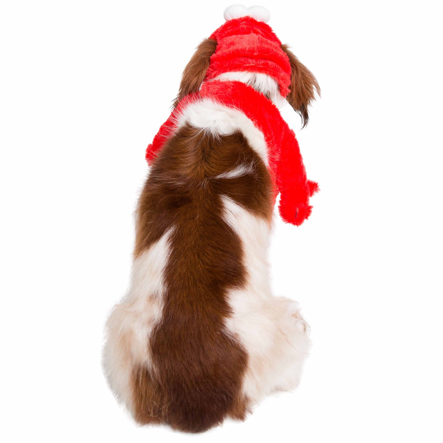 Sesame Street Elmo Dog Costume – Pet Krewe