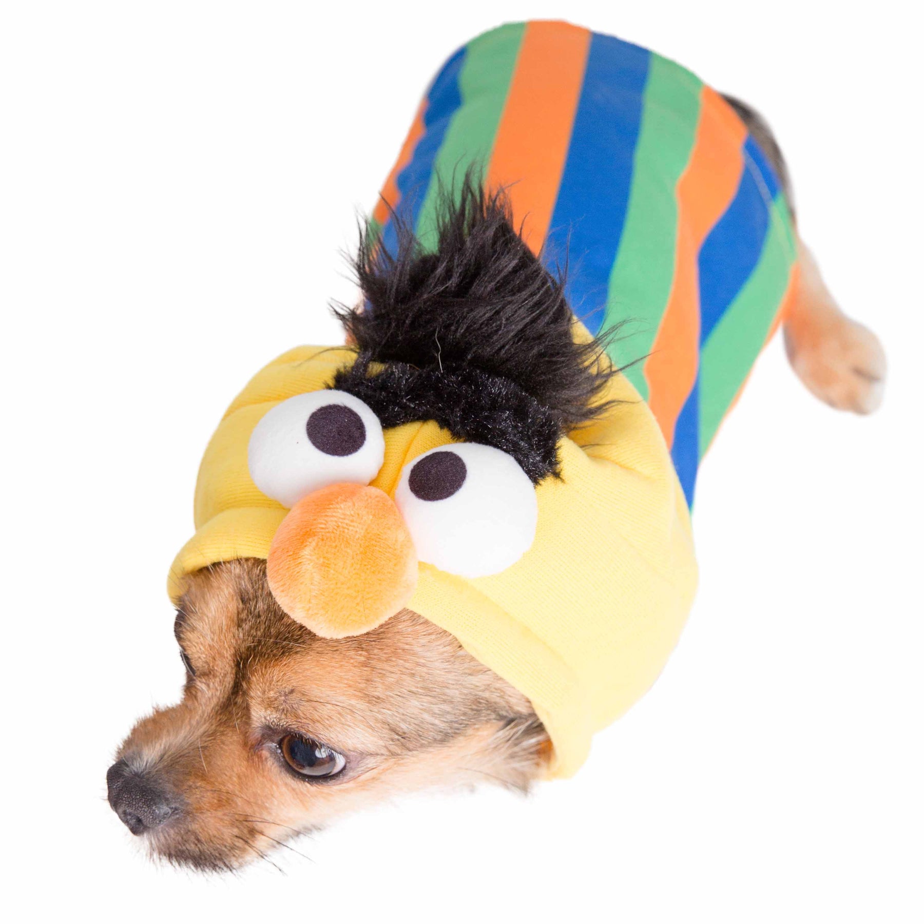 Sesame Street Bert Dog Hoodie – Pet Krewe